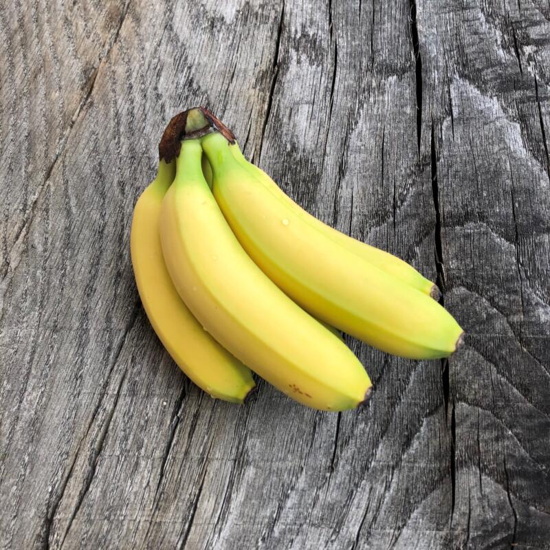 Bananitos - Buuregarte Boog