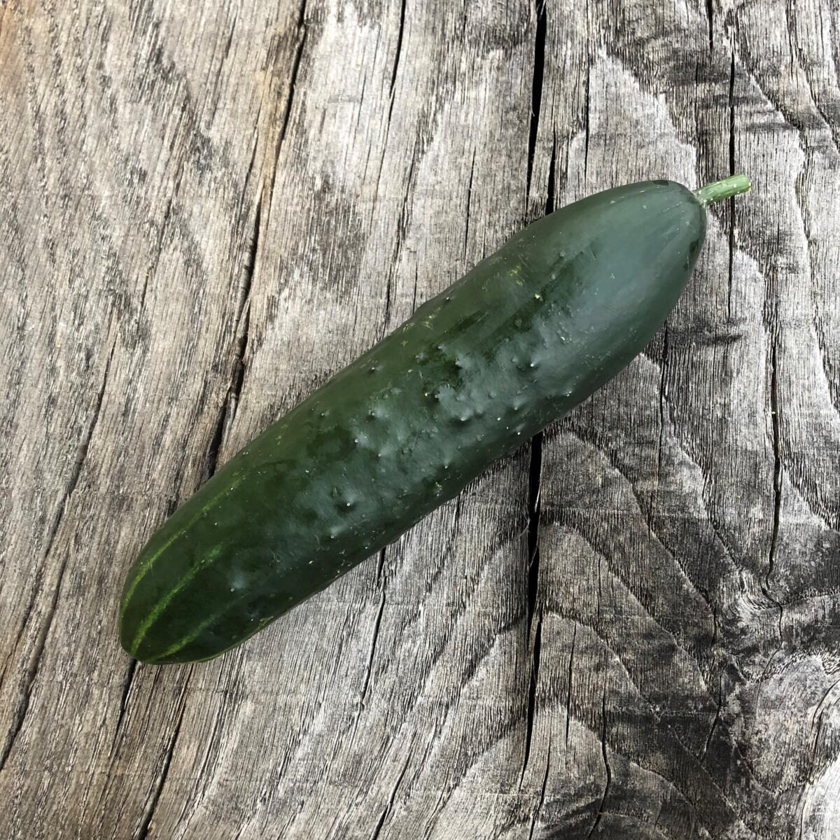 Radiesli - Buuregarte Boog