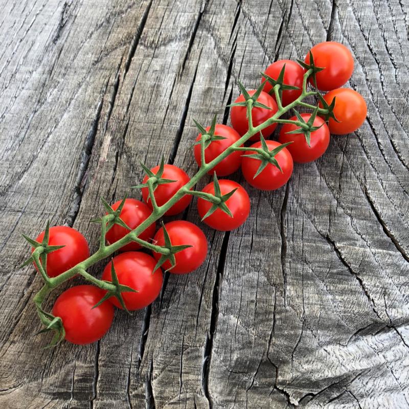 Tomaten Cherrytomaten Rispen - Buuregarte Boog