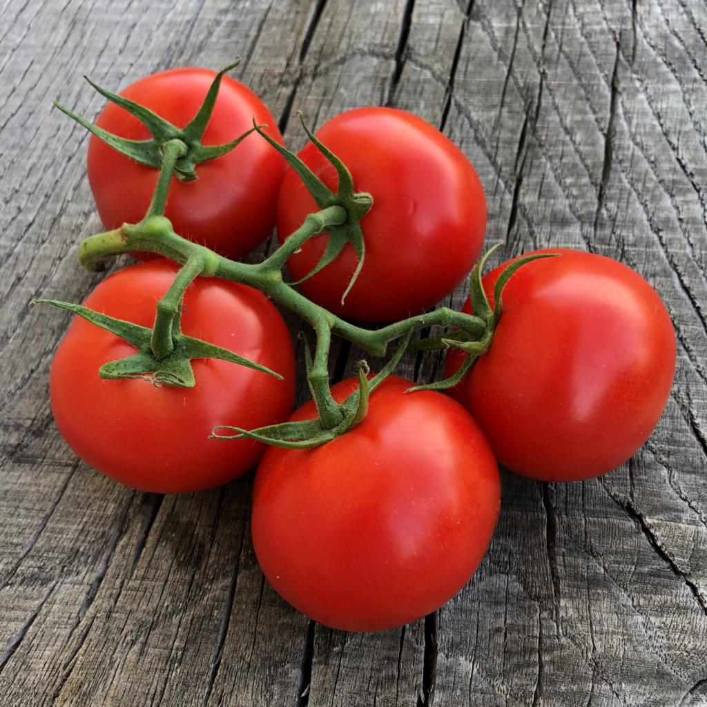 Tomaten Rispentomaten - Buuregarte Boog