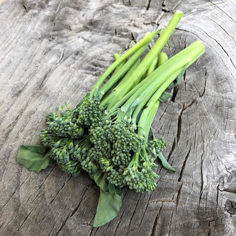 Bimi® Broccoli - Buuregarte Boog