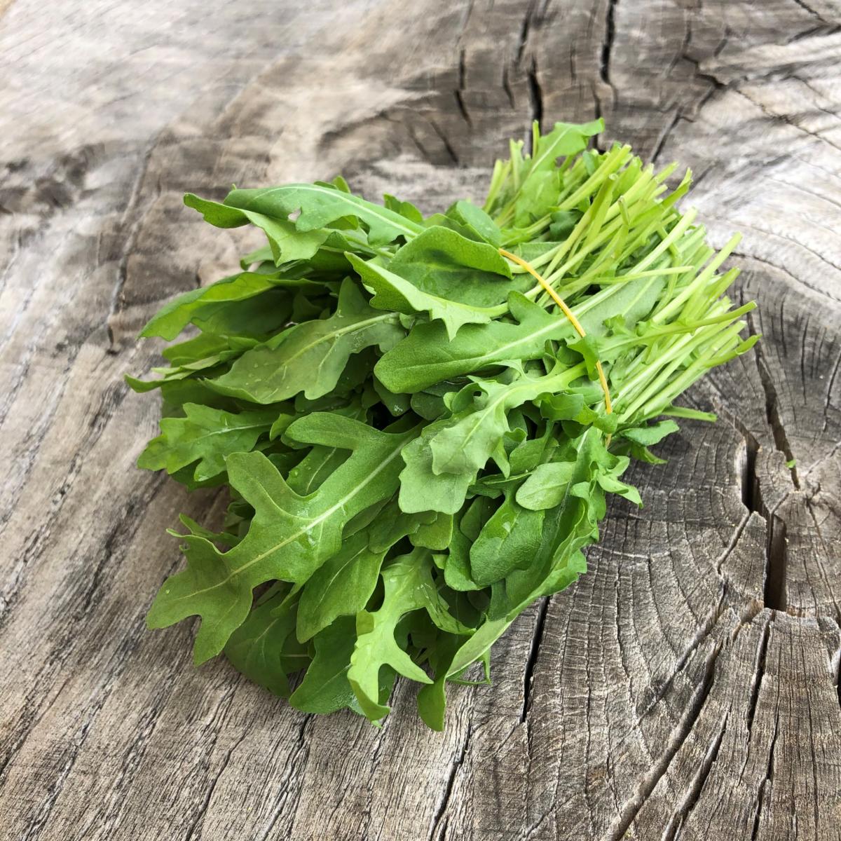 Lattich mini - Buuregarte Boog