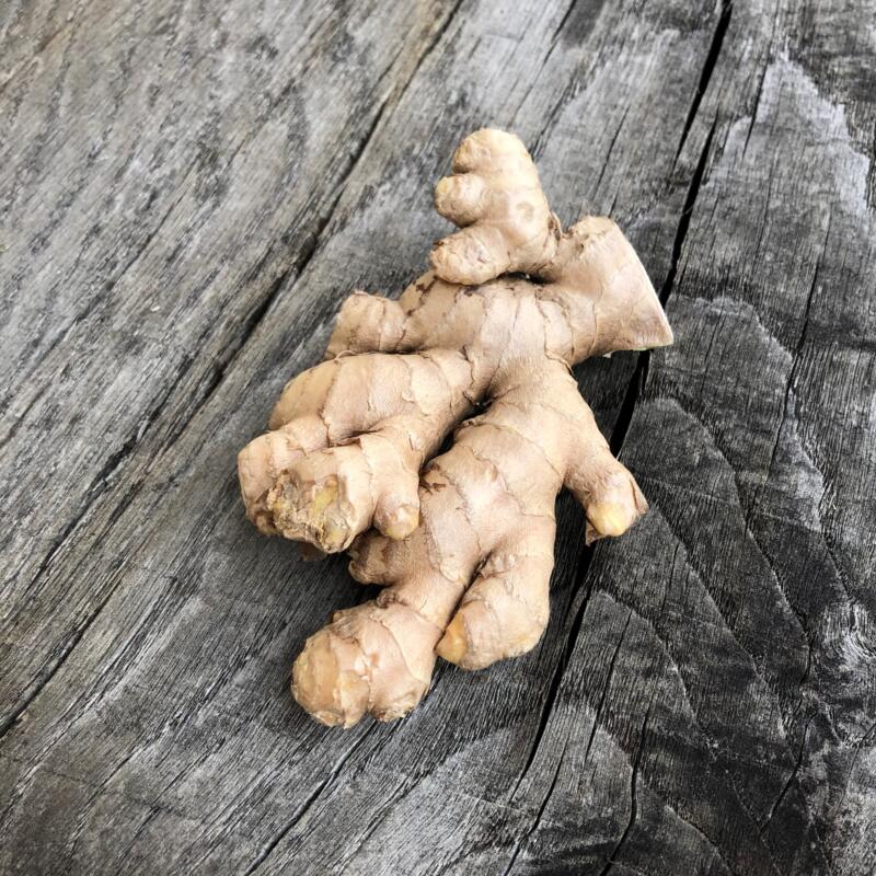 Ingwer Bio - Buuregarte Boog