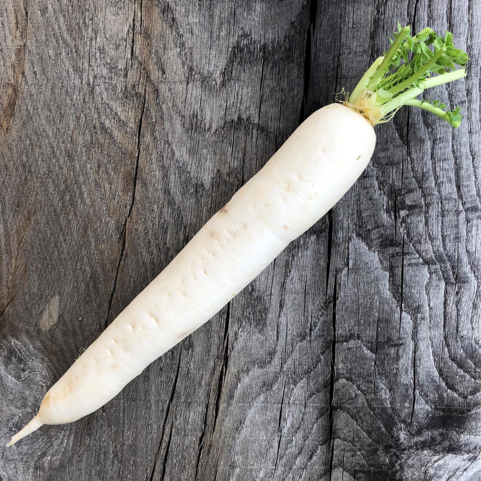 Radiesli - Buuregarte Boog